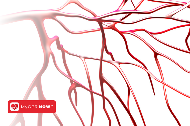 arterial bleeding arm