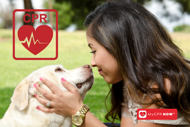 Why Pet CPR & First Aid Matters to Pet Owners