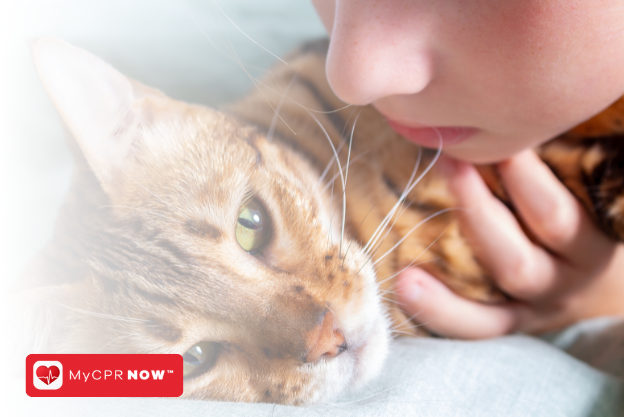 Pet CPR: The Skill That Could Save Your Pet's Life