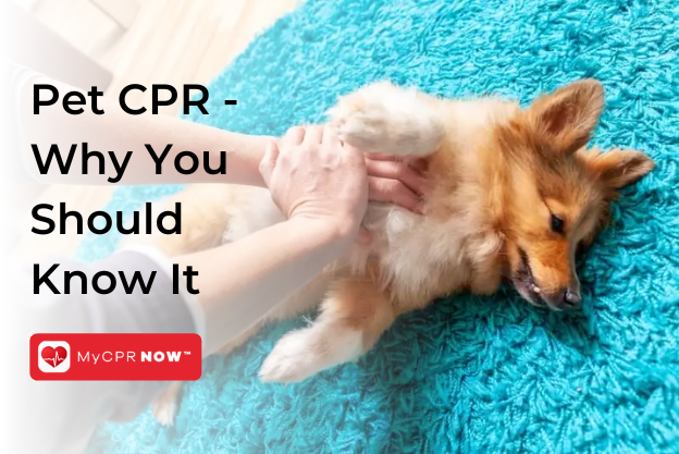 Pet CPR - Why You Should Know It