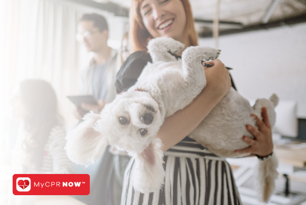 Pet CPR and First Aid Certification for Animal Shelters