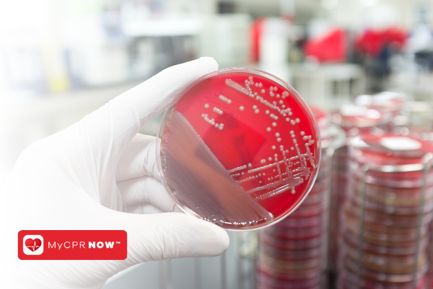 Understanding Bloodborne Pathogens