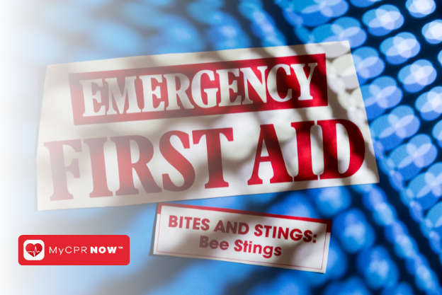 Bites and Stings: A Comprehensive First Aid Guide