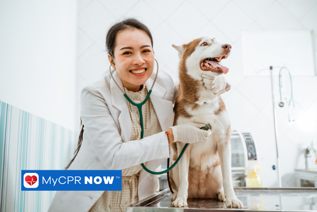 AEDs and Pets - Navigating Special Considerations