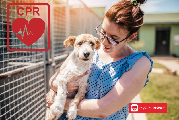 CPR for Animal Shelter Workers | MyCPR NOW